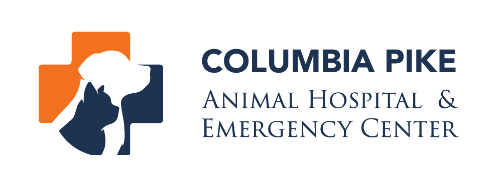 Columbia Pike Animal Hospital and Emergency Center: Top Rated Annandale ...